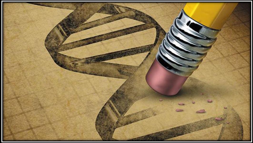 Aplikasi “CRISPR-Cas9” dalam Penghambat Penuaan