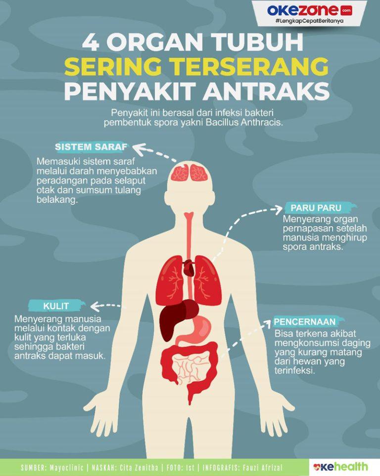 ANTRAKS DI INDONESIA: BISA HIDUP SAMPAI 71 TAHUN - Warung Sains Teknologi