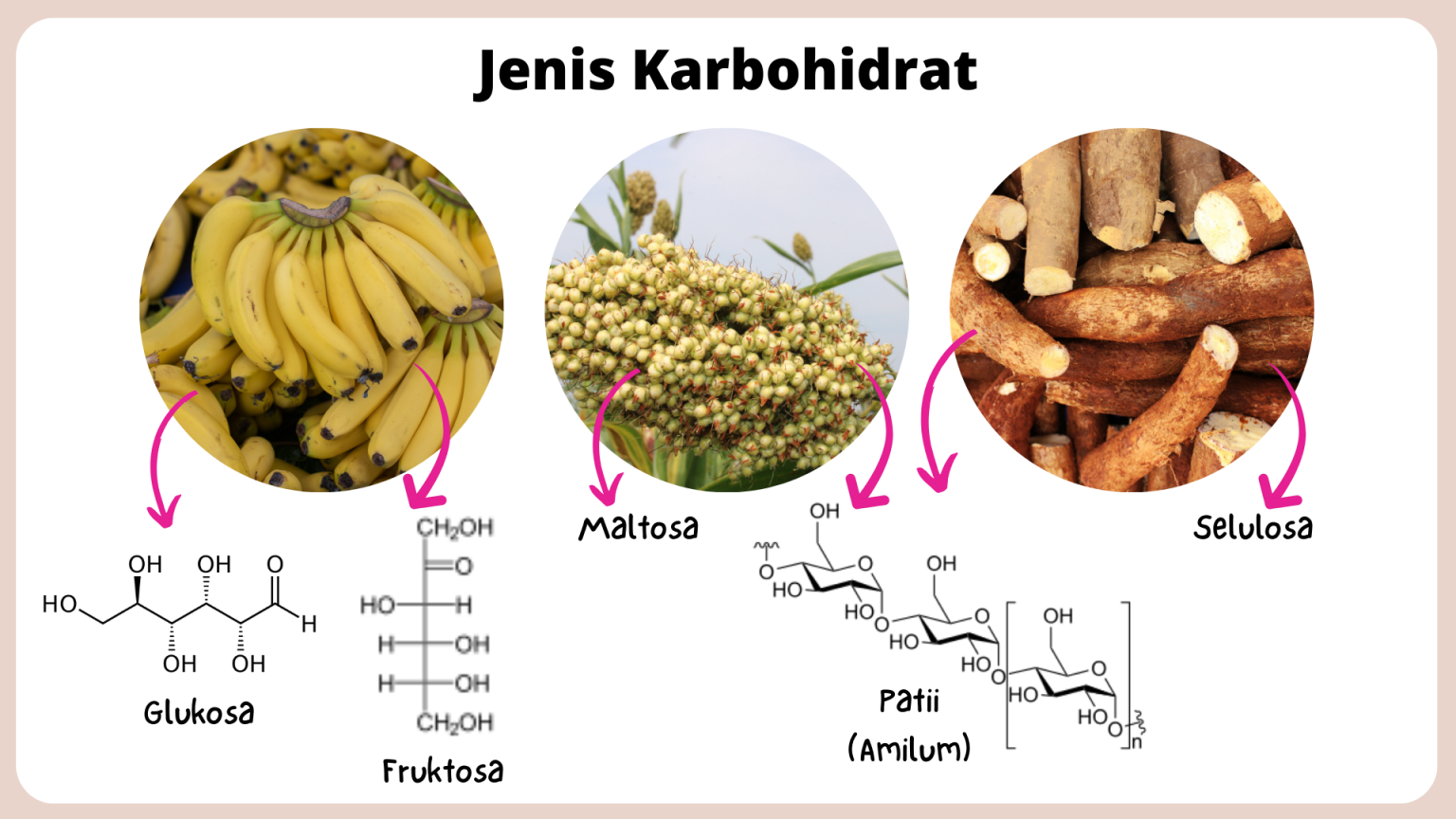 Mengenal Jenis dan Sumber Karbohidrat pada Pangan Lokal - Warung Sains ...